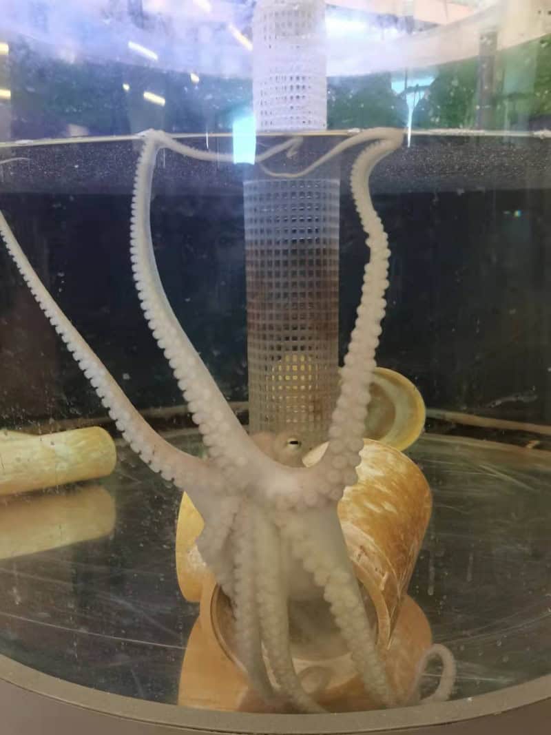 Marine lab trip a link to student’s past and future – News | Duke ...