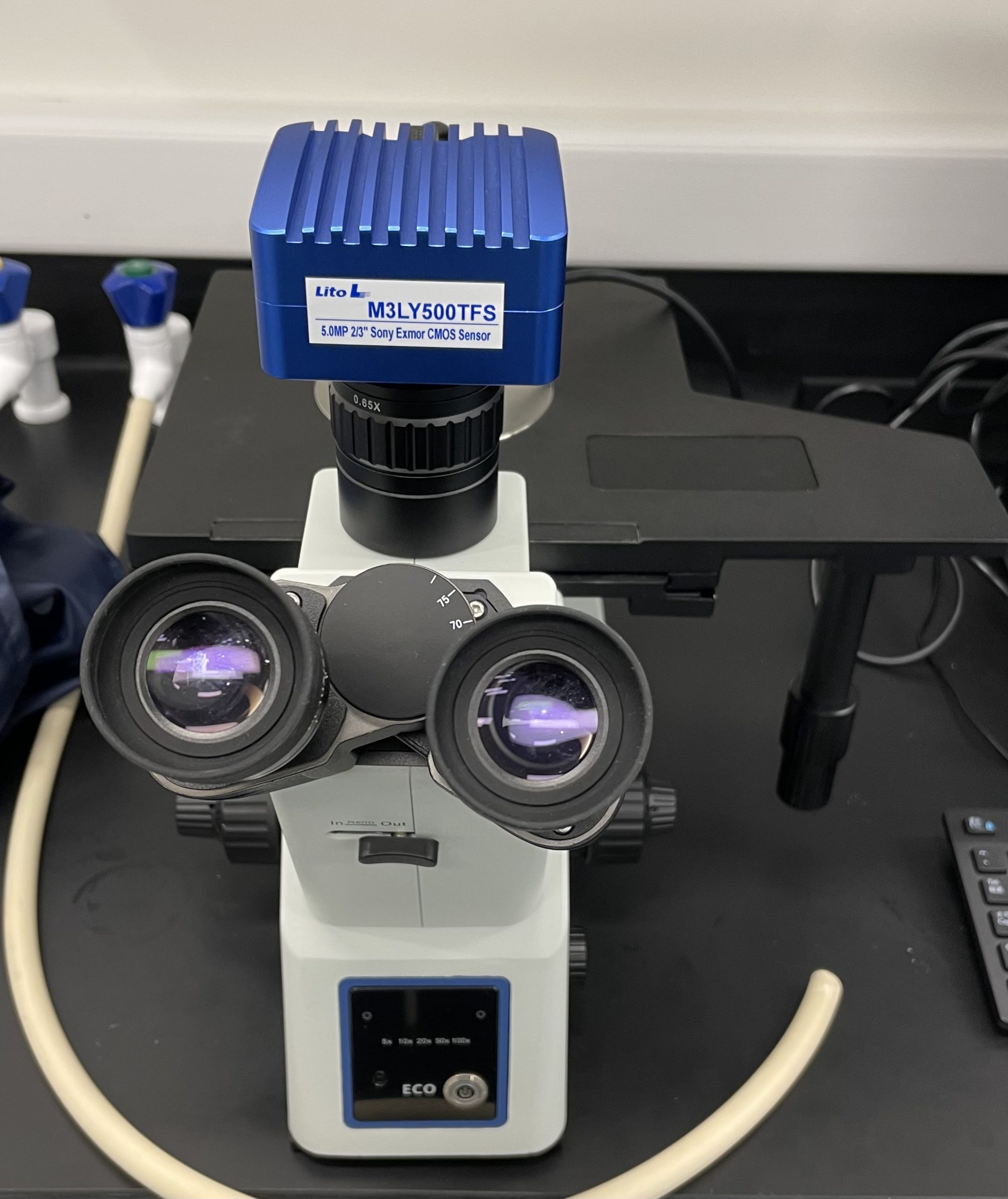 Equipment List | Division of Natural and Applied Sciences