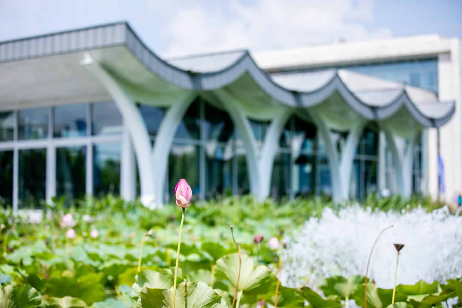 Duke Kunshan University - DKU